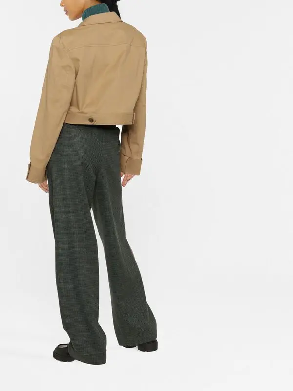 Alberta Ferretti Button-up Cropped Jacket