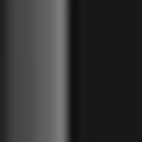 Chanel Angled Eyeliner Brush N°206