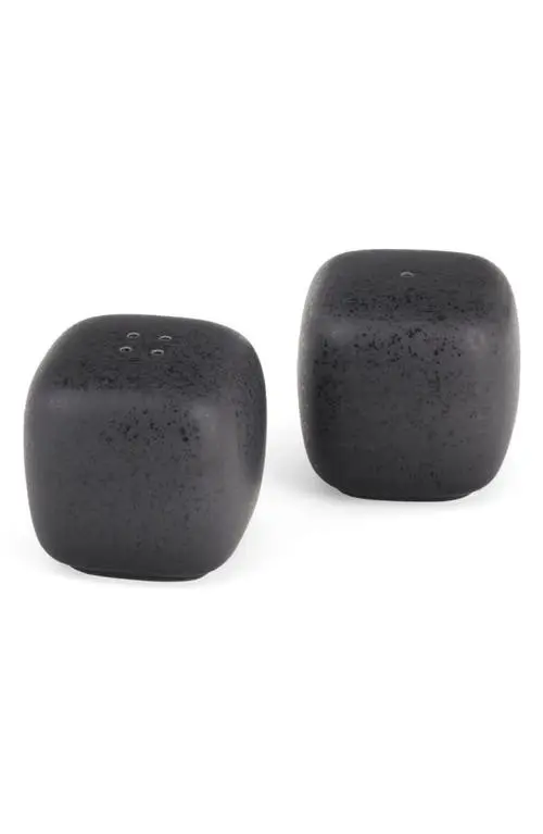 NAMBE Taos Salt & Pepper Shakers Set - Black