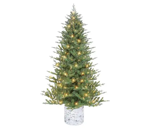 PULEO INTERNATIONAL 6.5' Pe/pvc Potted Tree - One-color
