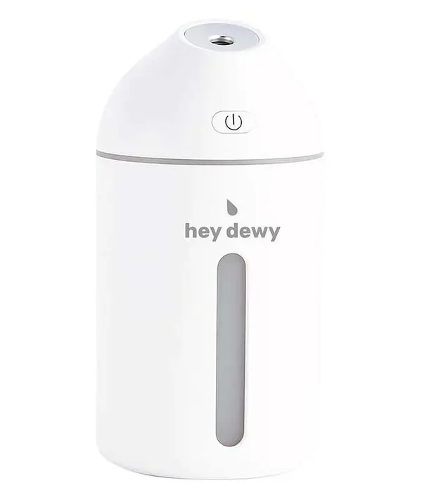 HEY DEWY Portable Facial Humidifier