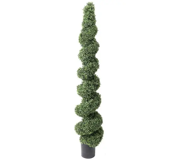 VALERIE PARR HILL American Boxwood Spiral Topiary Valerie - One-color