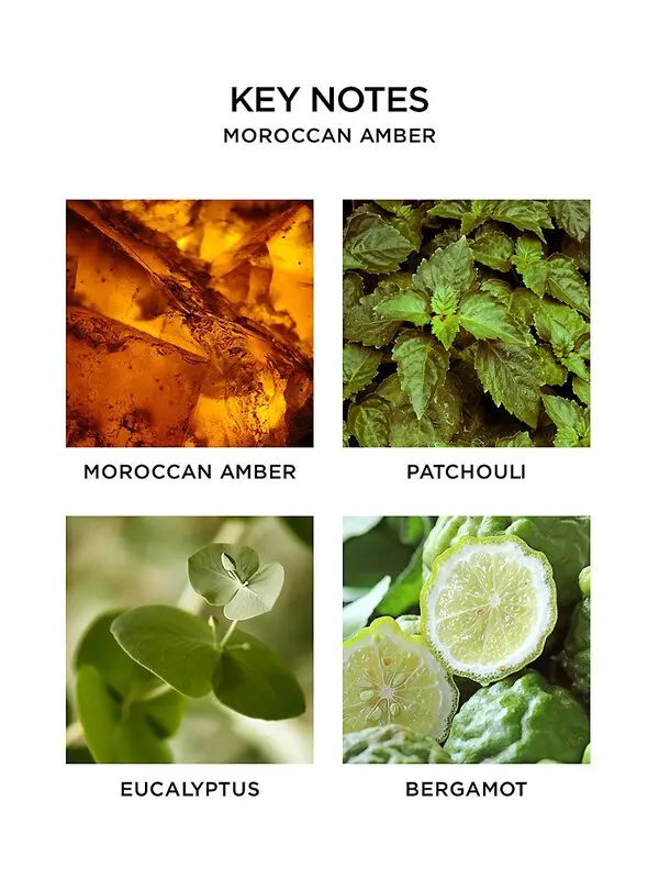 NEST NEW YORK Moroccan Amber Liquid Soap
