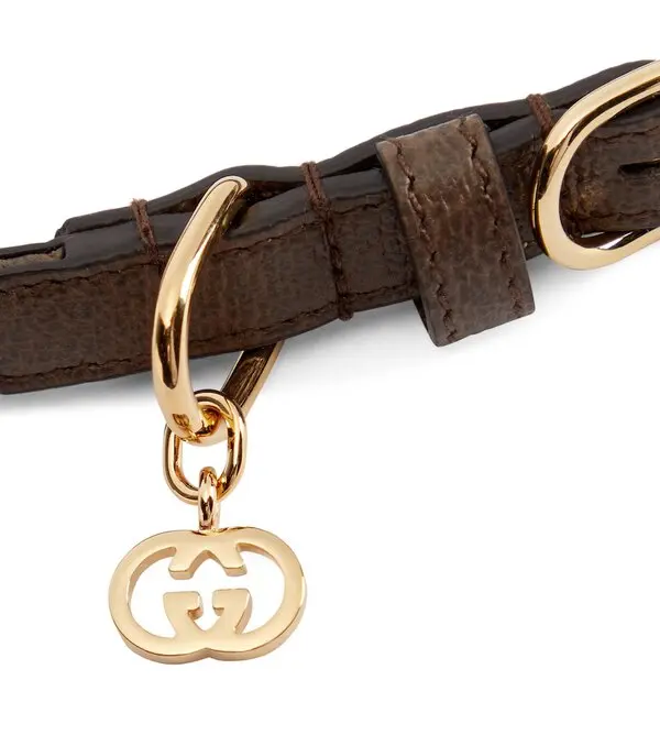 Gucci Web Stripe Faux Leather Dog Collar