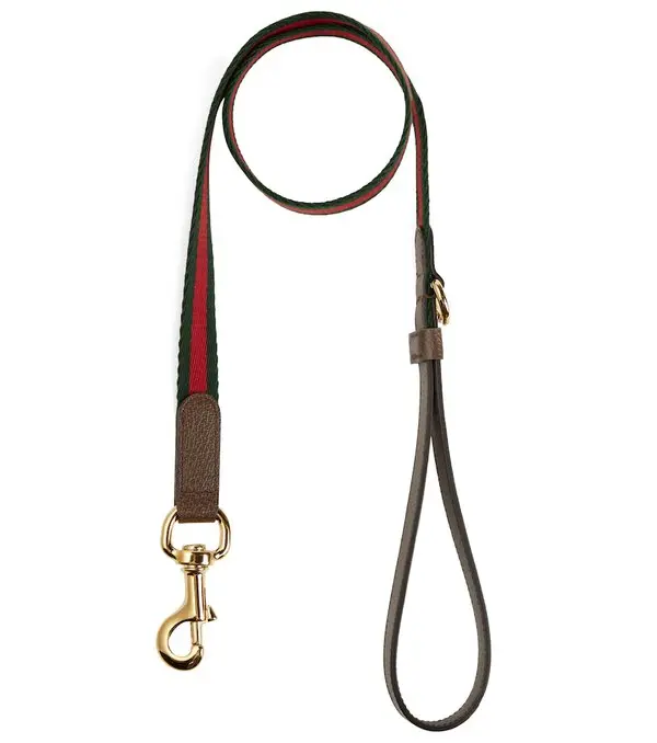 Gucci Web Stripe S/m Dog Leash - Multicoloured