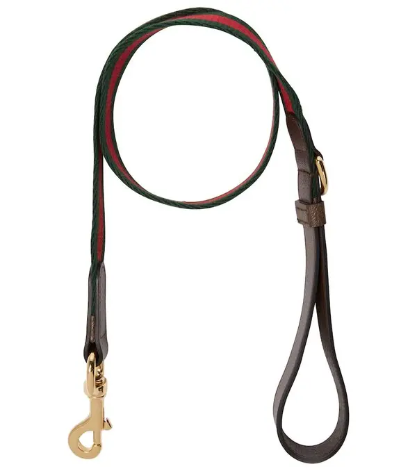 Gucci Web Stripe L Dog Leash - Multicoloured