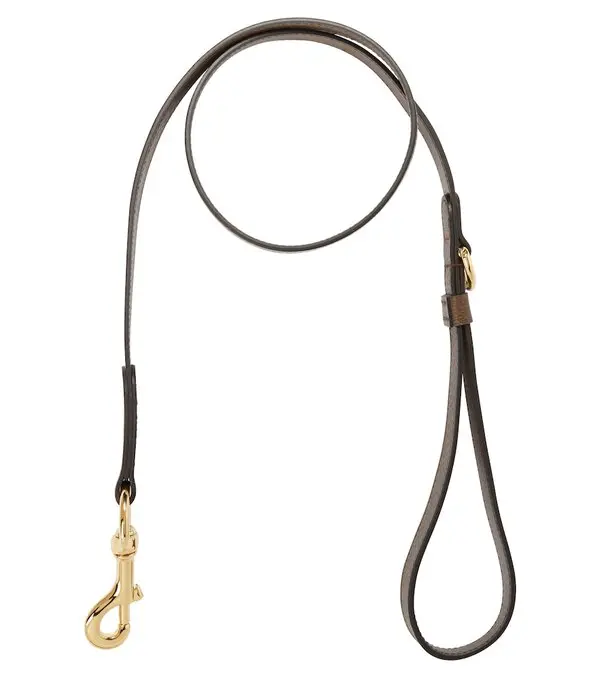Gucci Gg Supreme S/m Faux Leather Dog Leash - Brown
