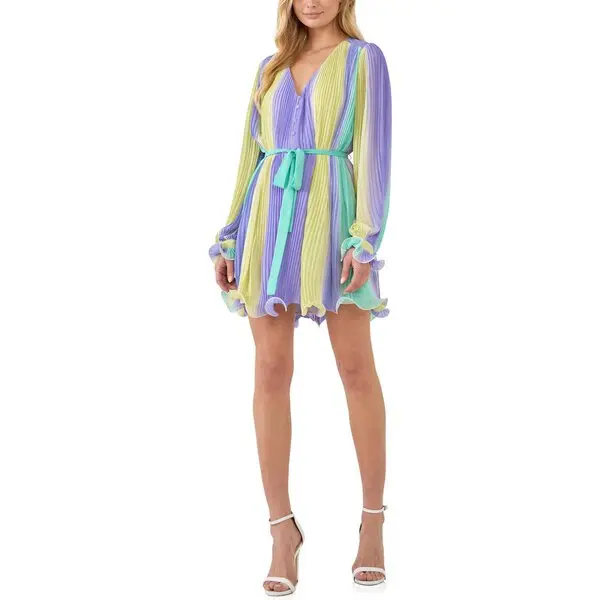 Endless Rose Stripe Pleated Mini Dress