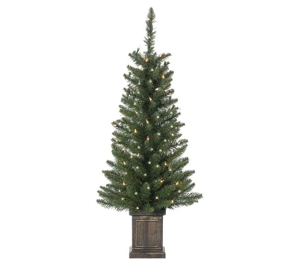 STERLING 3.5' Potted Colorado Spruce W/ 50 Led Lights Co - One-color