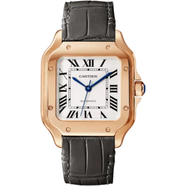 CARTIER Santos De Watch