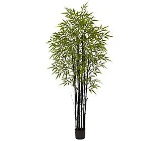 NEARLY NATURAL 6' Black Bamboo Tree By - One-color