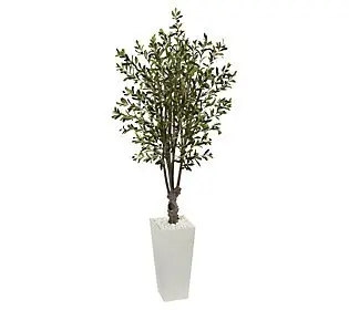 NEARLY NATURAL 6' Olive Artificial Tree In Planter Nearly N Atural - One-color
