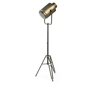 HOMEROOTS Gold Movie Set Floor Lamp - One-color