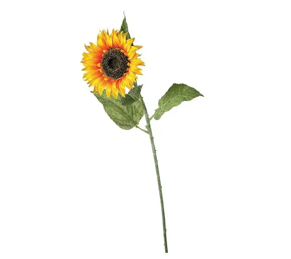 VALERIE PARR HILL Sunflower Stem 34' Valerie - One-color