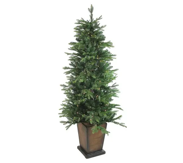 NORTHLIGHT Pre-lit Potted Oregon Noble Fir Chri Stmas Tree - One-color