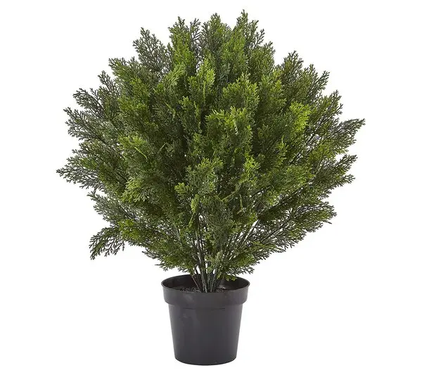 NEARLY NATURAL 3' Cedar Bush By - One-color