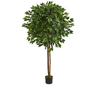 NEARLY NATURAL 6.5' Ficus Artificial Tree By - One-color