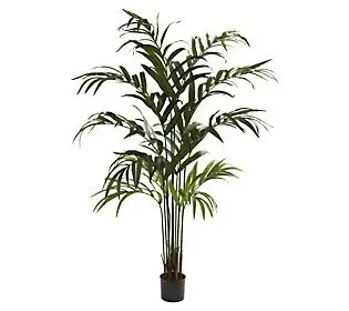 NEARLY NATURAL 6' Kentia Artificial Tree By - One-color