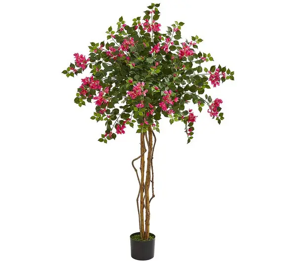 NEARLY NATURAL 5.5' Bougainvillea Artificial Tree Nearly Na Tural - One-color