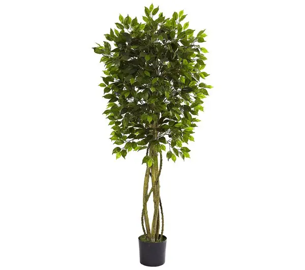 NEARLY NATURAL 5-1/2' Indoor/outdoor Ficus Tree Nearly Natu Ral - One-color