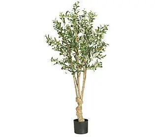 NEARLY NATURAL 5' Olive Tree By - One-color