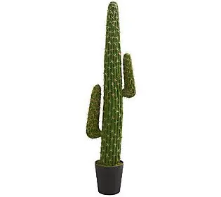 NEARLY NATURAL 4.5' Cactus Artificial Plant By - One-color