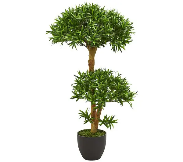NEARLY NATURAL 3' Bonsai-styled Podocarpus Tree Nearly Natu Ral - One-color