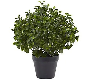 NEARLY NATURAL 23' Peperomia Plant Uv-resistant Nearly Natu Ral - One-color