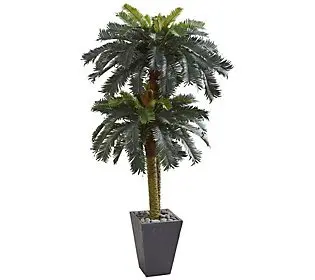NEARLY NATURAL 6' Double Sago Tree In Planter Nearly Natura L - One-color
