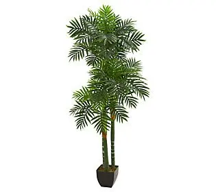 NEARLY NATURAL 5.5' Triple Areca Palm Artificial Tree Nearl Y Natural - One-color