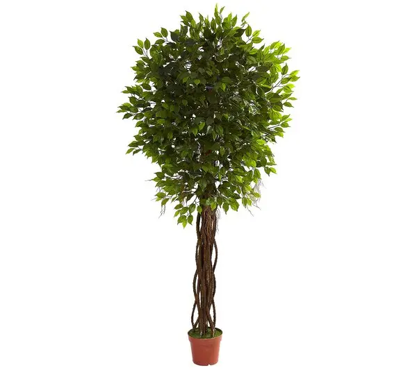 NEARLY NATURAL 7.5' Ficus Tree By - One-color