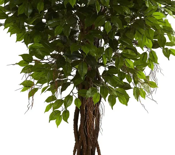 NEARLY NATURAL 7.5' Ficus Tree By