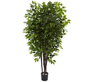 NEARLY NATURAL 6.5' Deluxe Ficus Tree By - One-color
