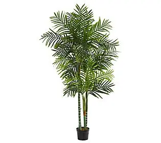 NEARLY NATURAL Areca Artificial Palm Tree By