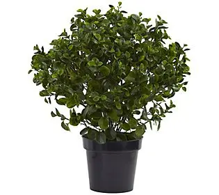 NEARLY NATURAL 28' Peperomia Plant By - One-color