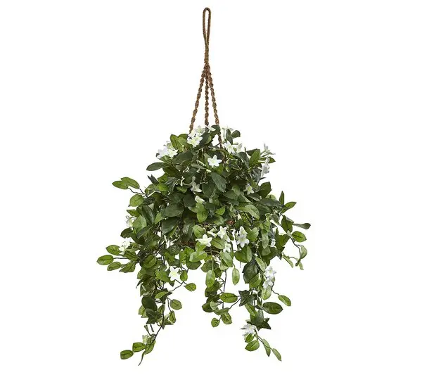 NEARLY NATURAL Stephanotis In Hanging Basket By - One-color
