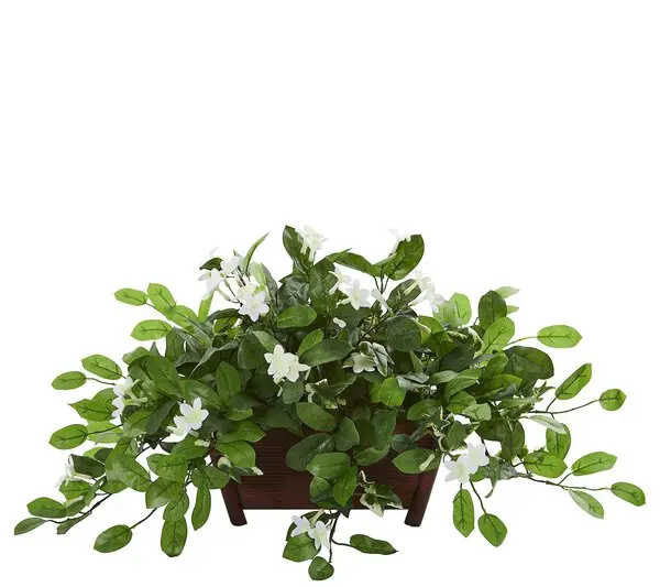 NEARLY NATURAL Mix Stephanotis Plant In Planter Nearly Natu Ral - One-color