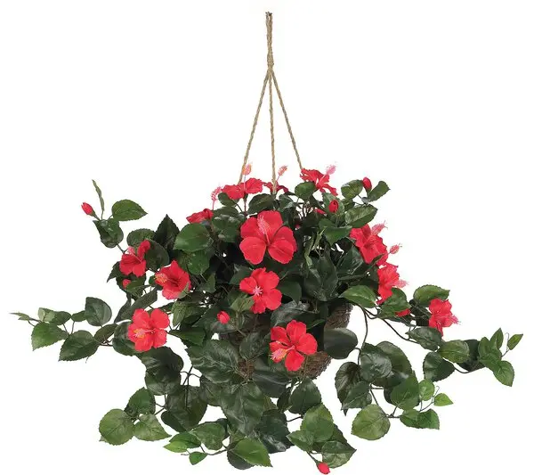 NEARLY NATURAL Hibiscus Hanging Basket By - One-color