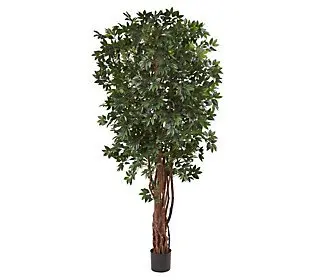 NEARLY NATURAL 7.5' Lychee Silk Tree By - One-color