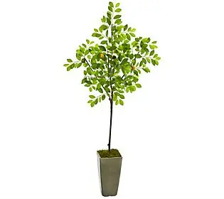 NEARLY NATURAL 6' Lemon Tree In Olive Green Planter Nearly Atural - One-color