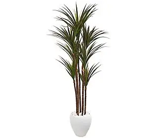 NEARLY NATURAL 70' Giant Yucca Tree In White Planter By - One-color