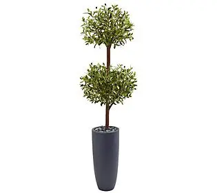 NEARLY NATURAL 6' Olive Double Tree In Cylinder Planter Nea Rly Natural - One-color
