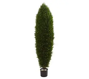 NEARLY NATURAL 5' Cypress Tree By - One-color