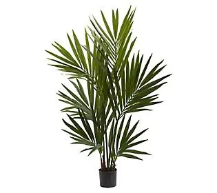 NEARLY NATURAL 4' Kentia Palm Silk Tree By - One-color
