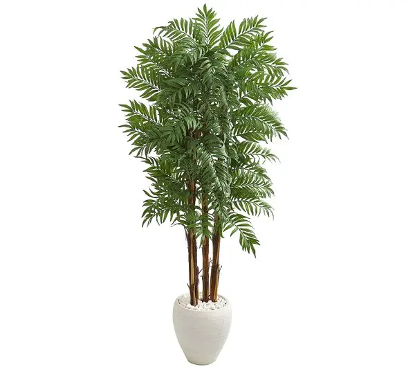 NEARLY NATURAL 6' Parlor Palm Tree In White Planter Nearly Atural - One-color