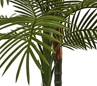 NEARLY NATURAL 5.5' Double Robellini Palm Tree By