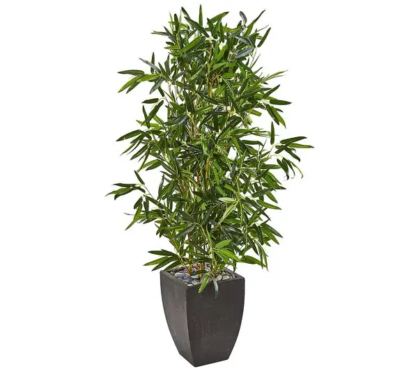 NEARLY NATURAL 5' Bamboo Tree In Black Planter By - One-color