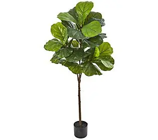 NEARLY NATURAL 54' Fiddle Leaf Artificial Tree By - One-color