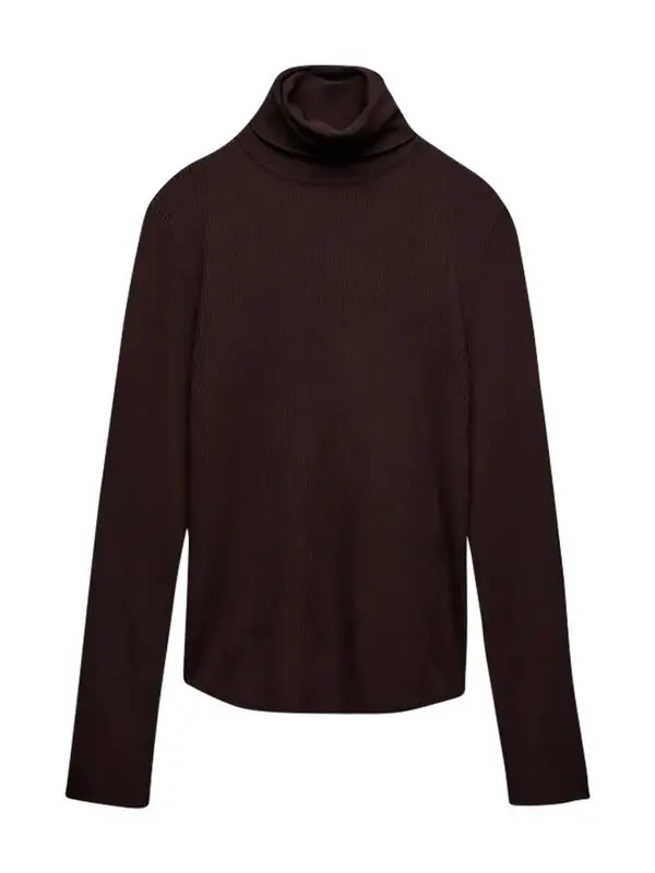 Zara Extra Thin Turtleneck Sweater