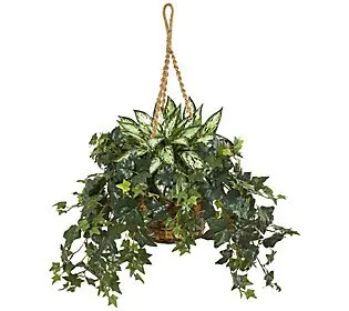 NEARLY NATURAL Silver Queen & Ivy Plant In Hanging Basket N Early Natural - One-color